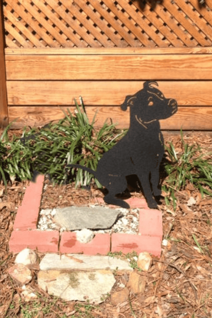 Pit Bull Garden Statue or Wall Art – Rustica Ornamentals